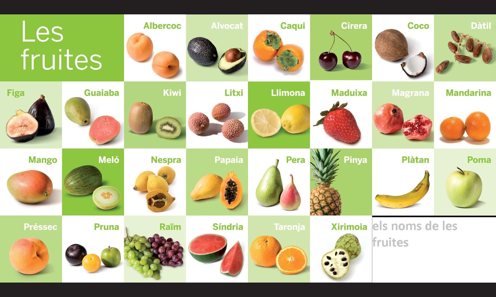 (EnS)MOLA LA LLENGUA!: LES FRUITES