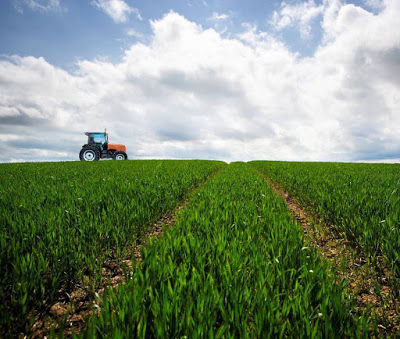 Agronomy and Its scope and Importance - AgriCreed