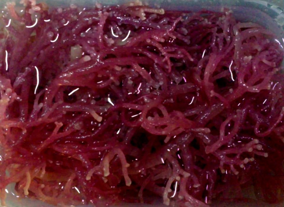 PERBEZAAN RUMPAI LAUT UNGU DAN KUNING | Pure Marine Collagen, Rumpai ...