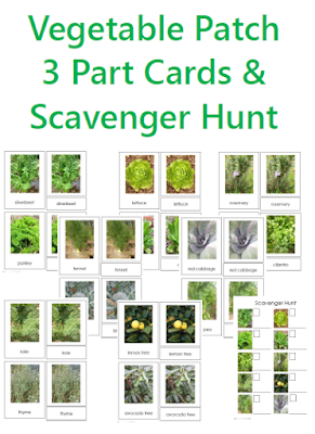 Lolly K Resources: Vegetable Garden