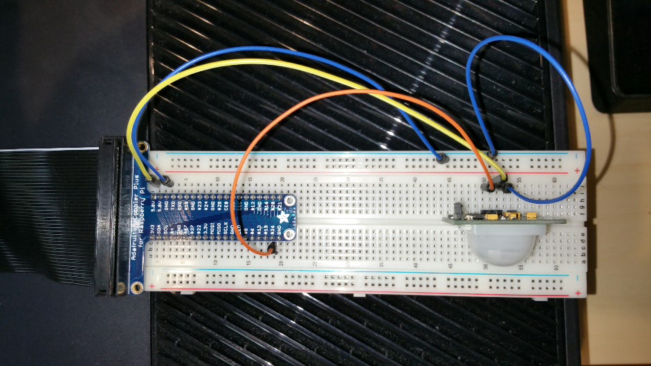 Diving into the Ominous Lagoon of Coding and Trying to Stay Afloat ...