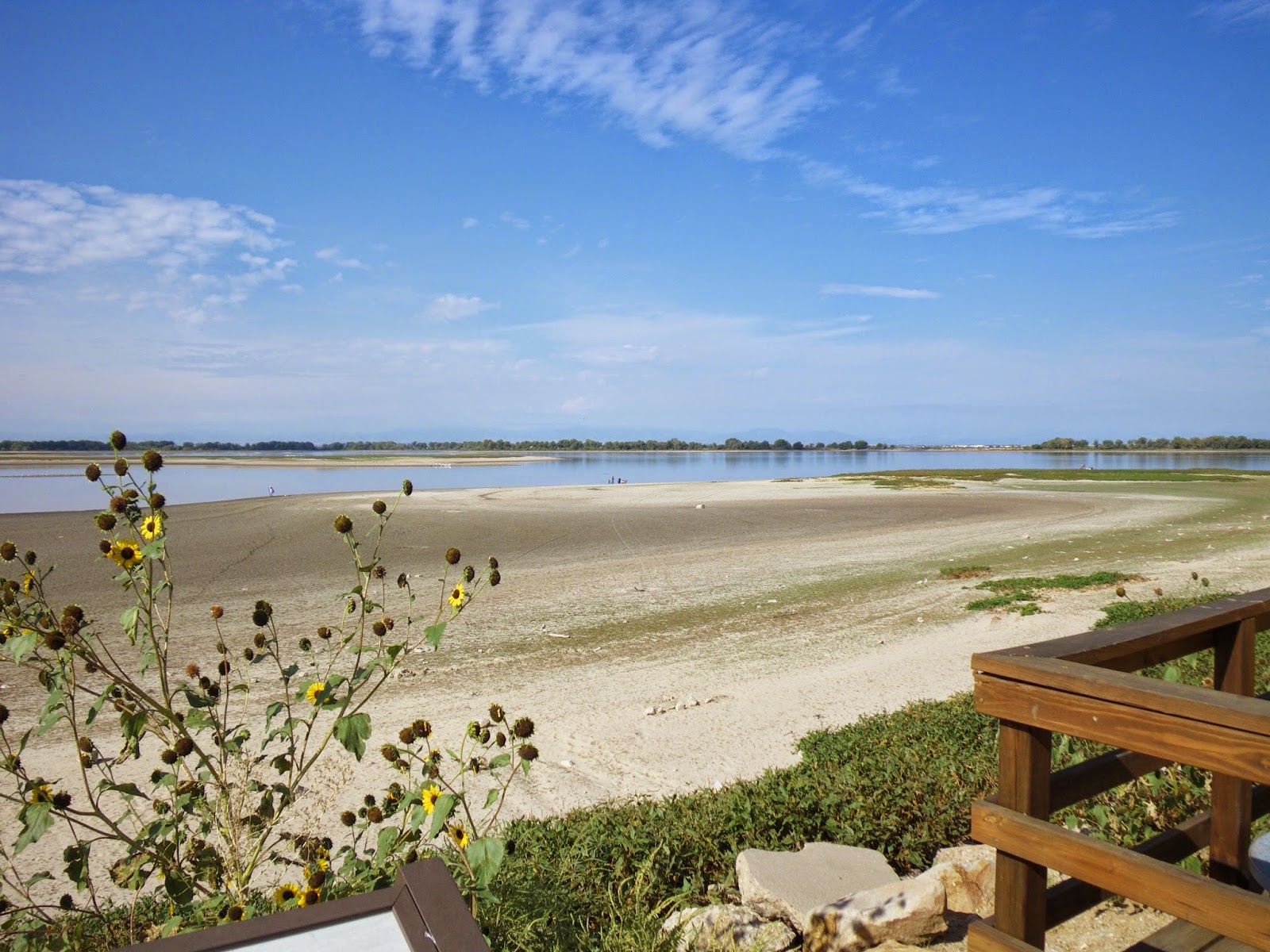 1994 Brave 29RQ RV: Barr Lake State Park