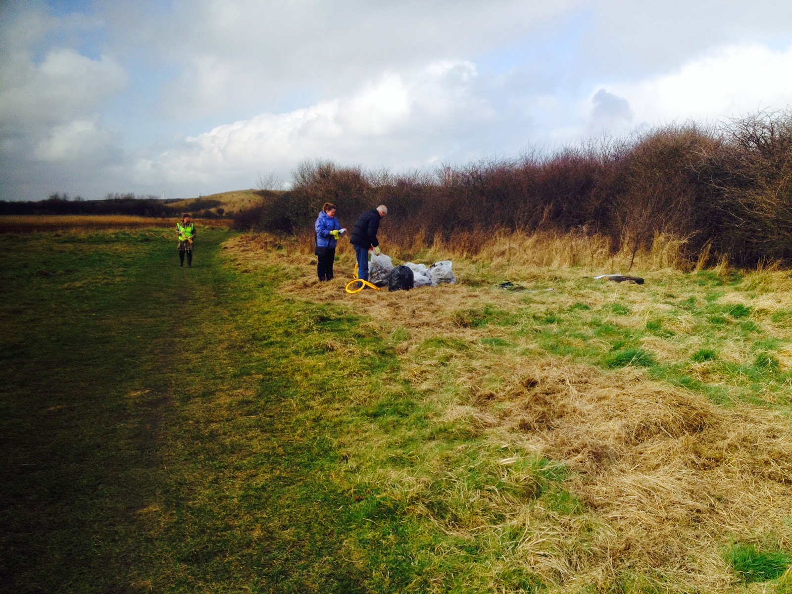 Redcar, North Yorkshire, UK.: They came and conquered! Coatham Marsh ...