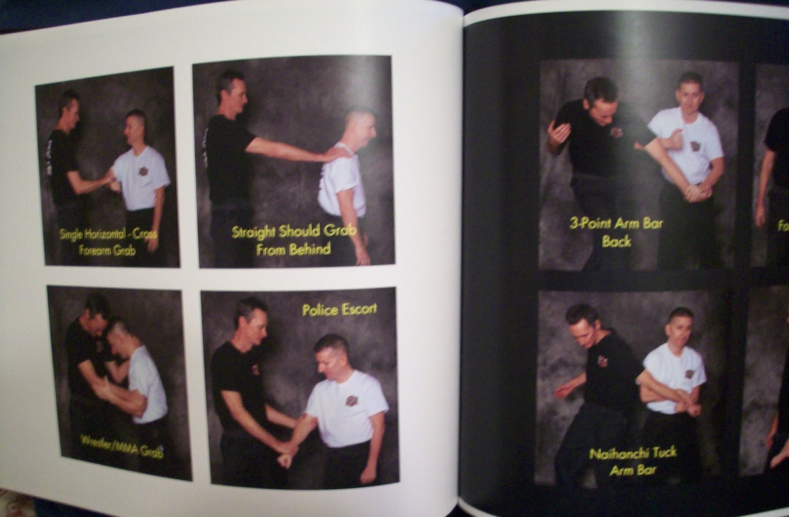 Tuite Jutsu (Personal training/teaching methodologies in Te): The 6 ...