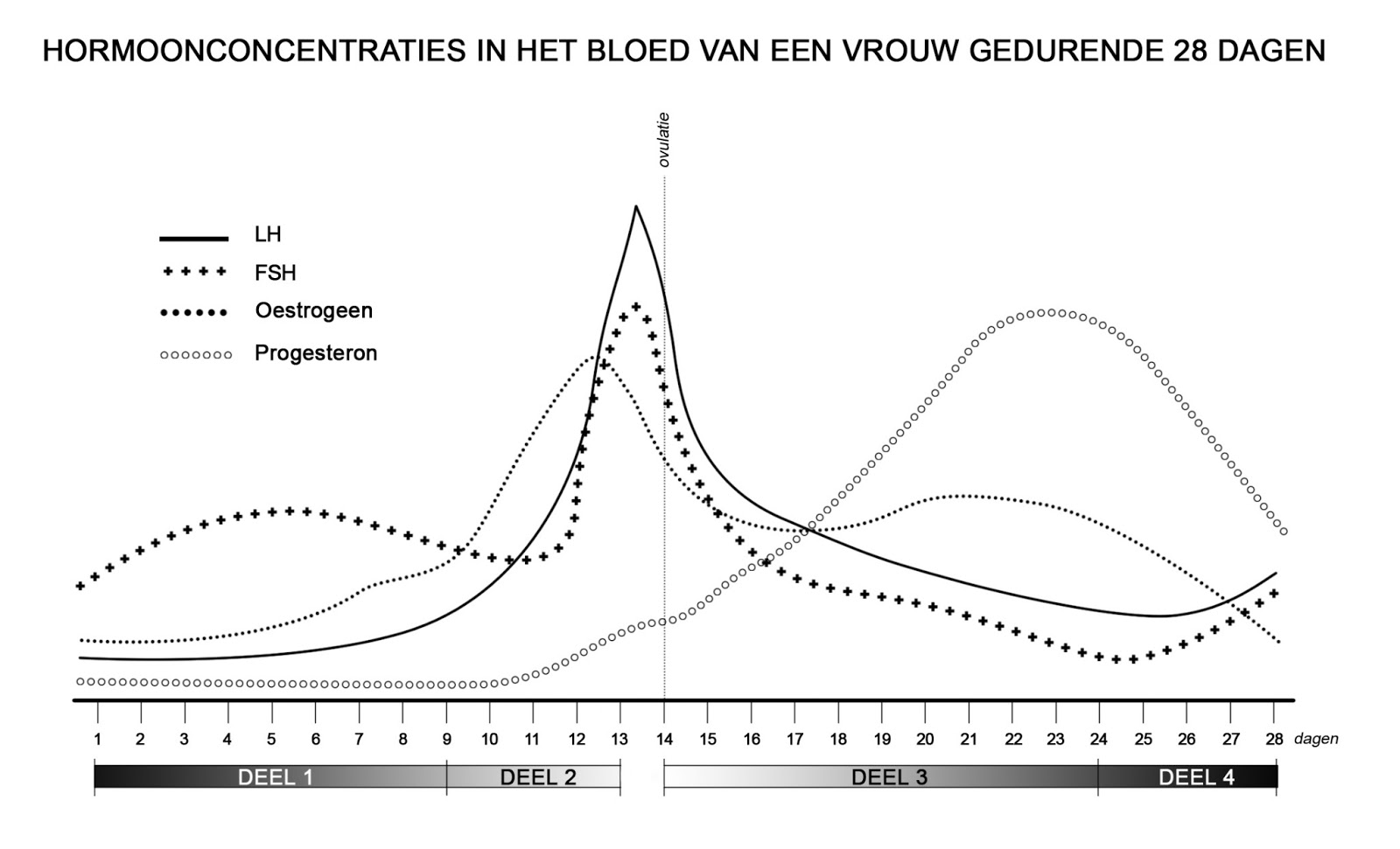 TurkishTatarGirl: Biologie Periode 3