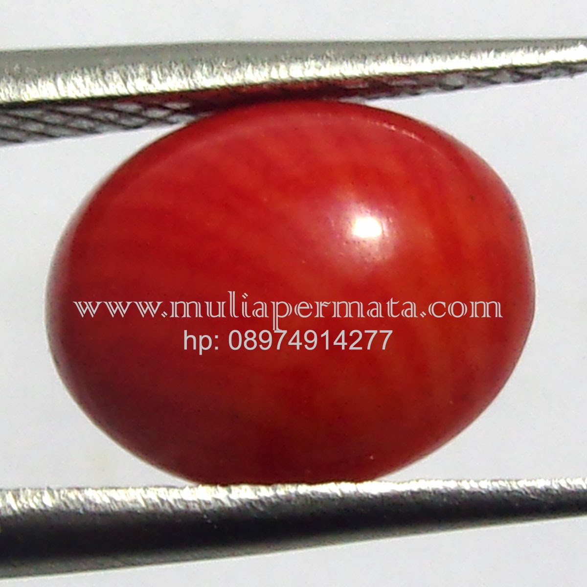 SEGALA HAL MENGENAI BATU MULIA: Batu Marjan, Red Coral 339