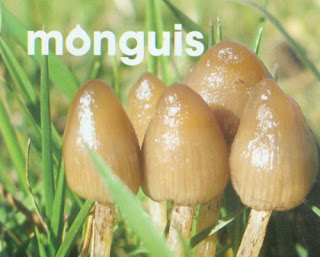 ABRACADABRA: LOS MONGUIS