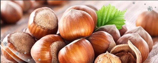 Nut Processing Machinery: Hazelnut vs. Filbert vs. Cobnut