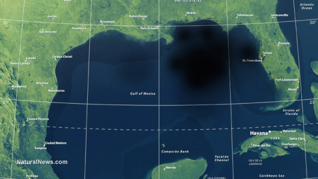 CLIMATE CHANGE NOW- CAMBIO CLIMATICO AHORA: Is the Gulf Stream broken ...
