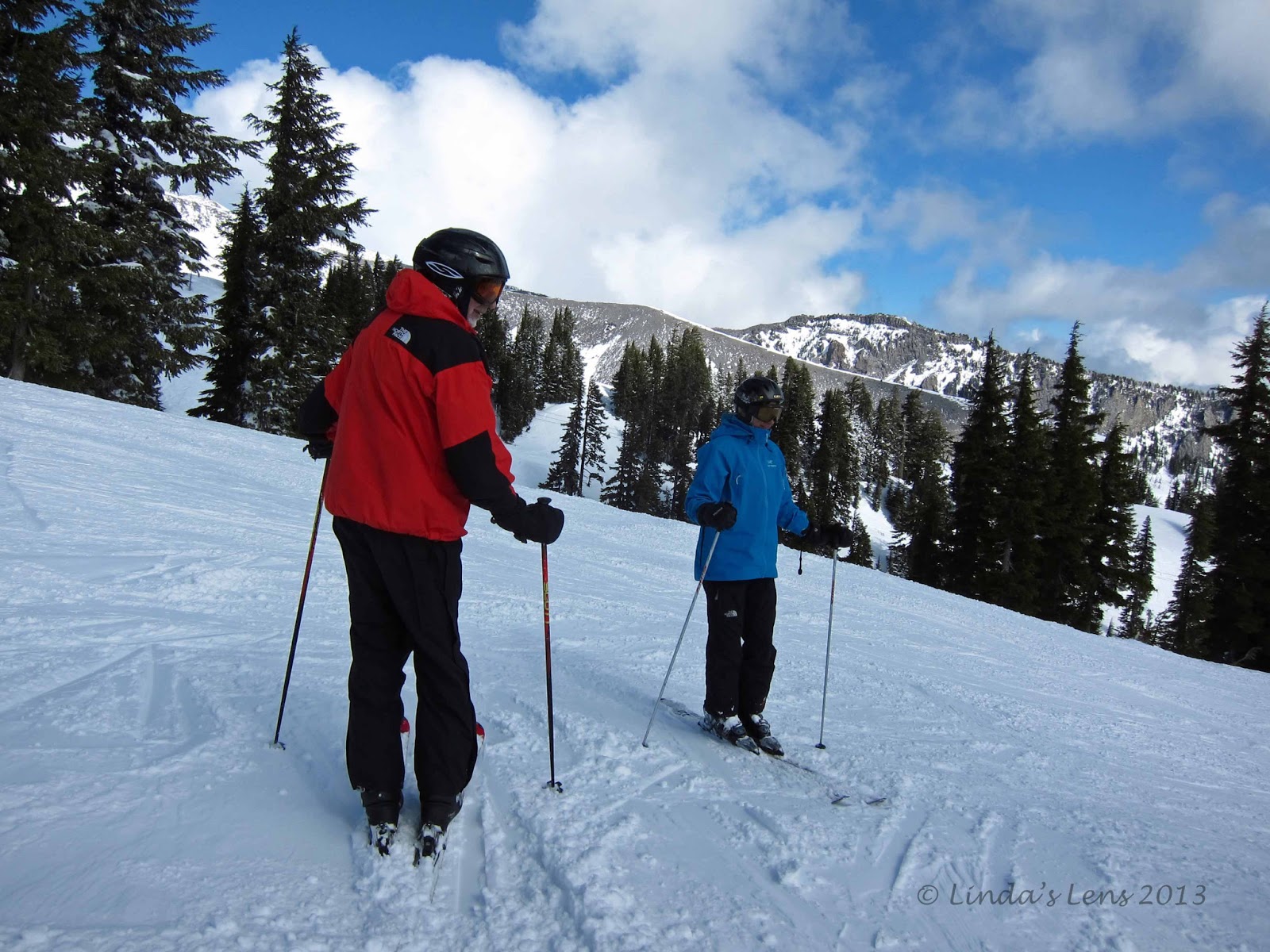 Linda's Lens: The Bra Tree and Katie's Sled Ride