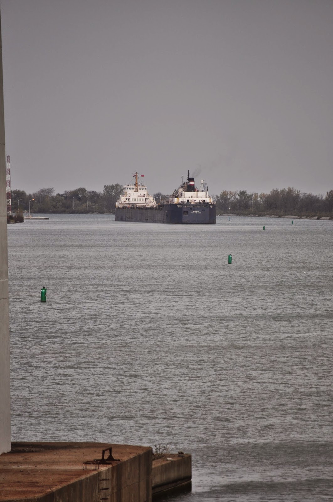 Vessels in the Welland Canal: Algosoo - Self Unloading Bulk Carrier