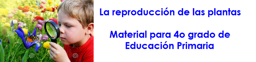 LA REPRODUCCIÓN DE LAS PLANTAS: ACTIVIDADES