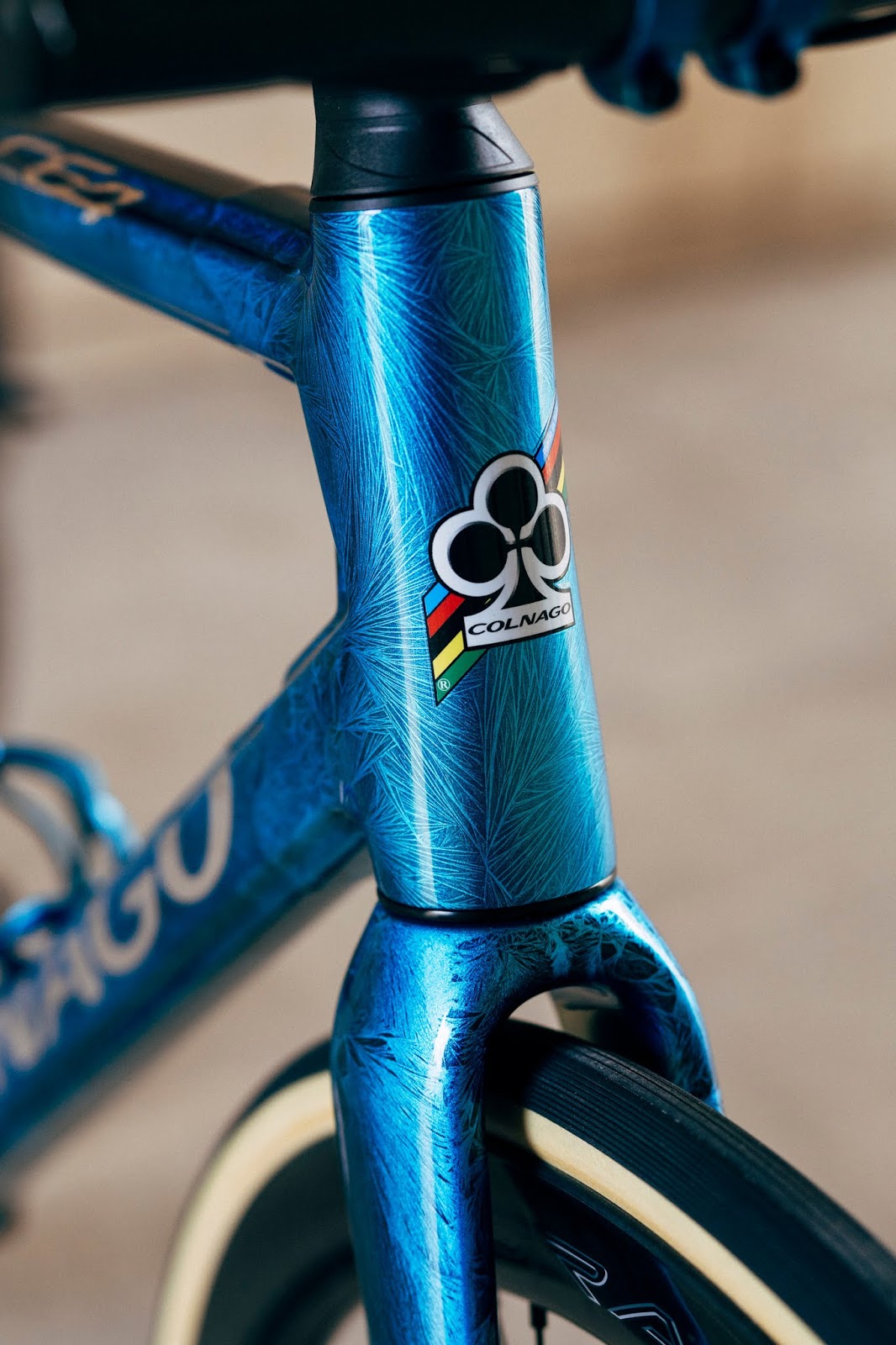 COLNAGO JAPAN Official Blog: 『C64』に新色『RC19』が登場