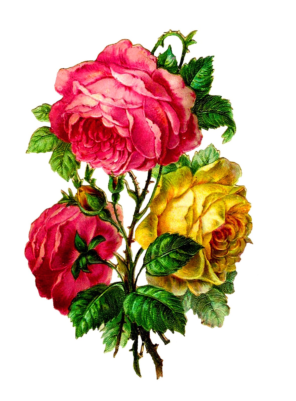Rustic Rose Garden Clip Art
