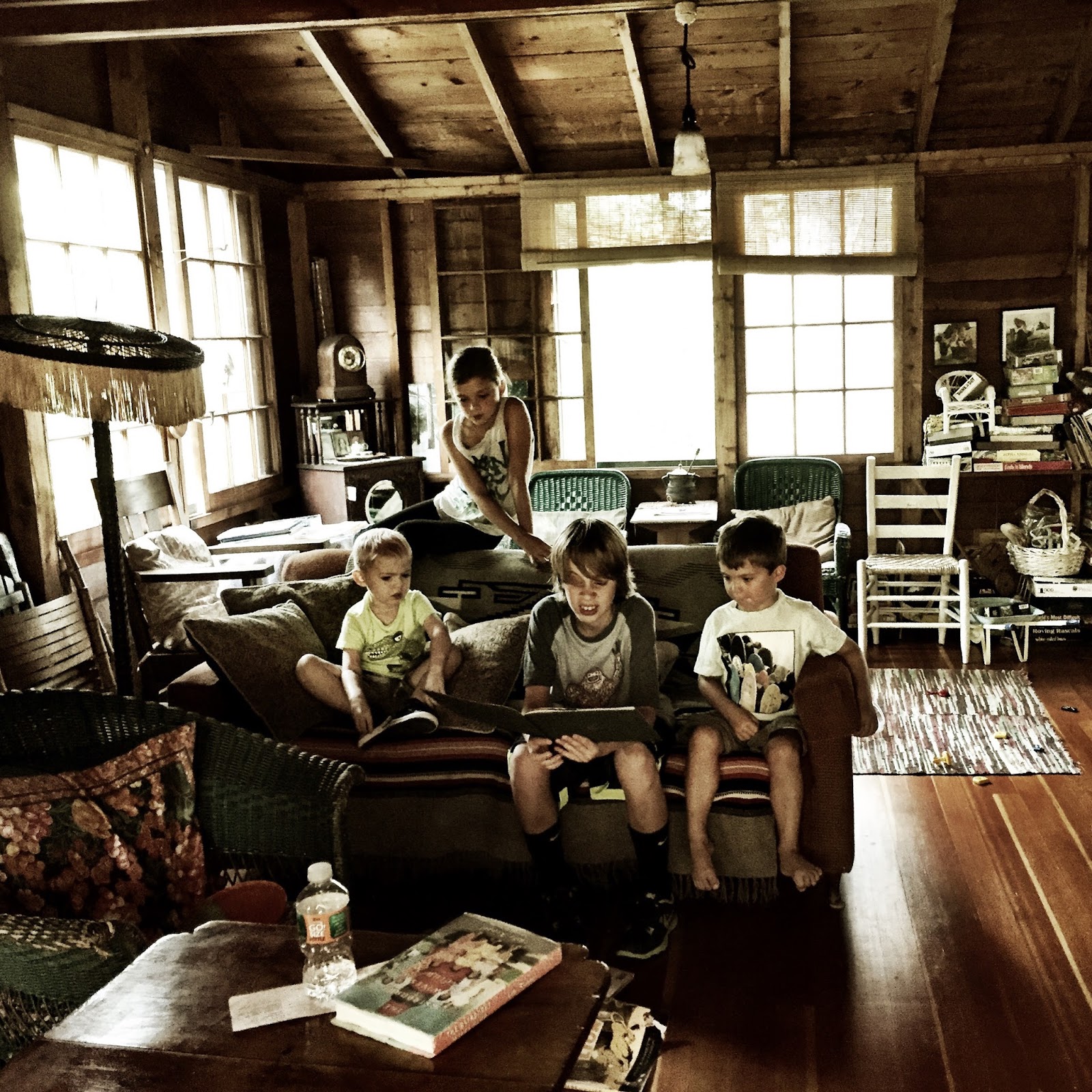 Petunia Face: Jenkins