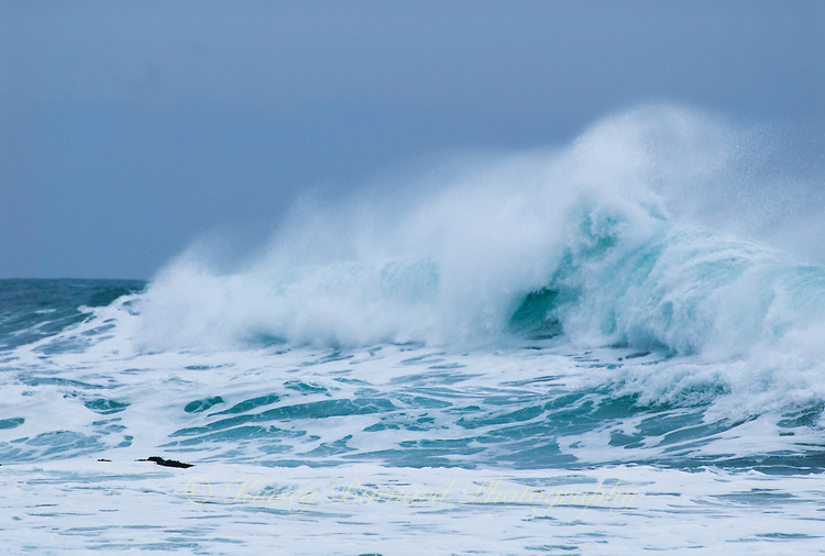 French Vocabulary Illustrated: embrun