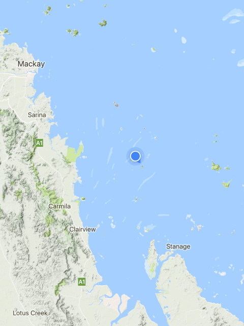 Cat Play: Day 50: Curlew Island