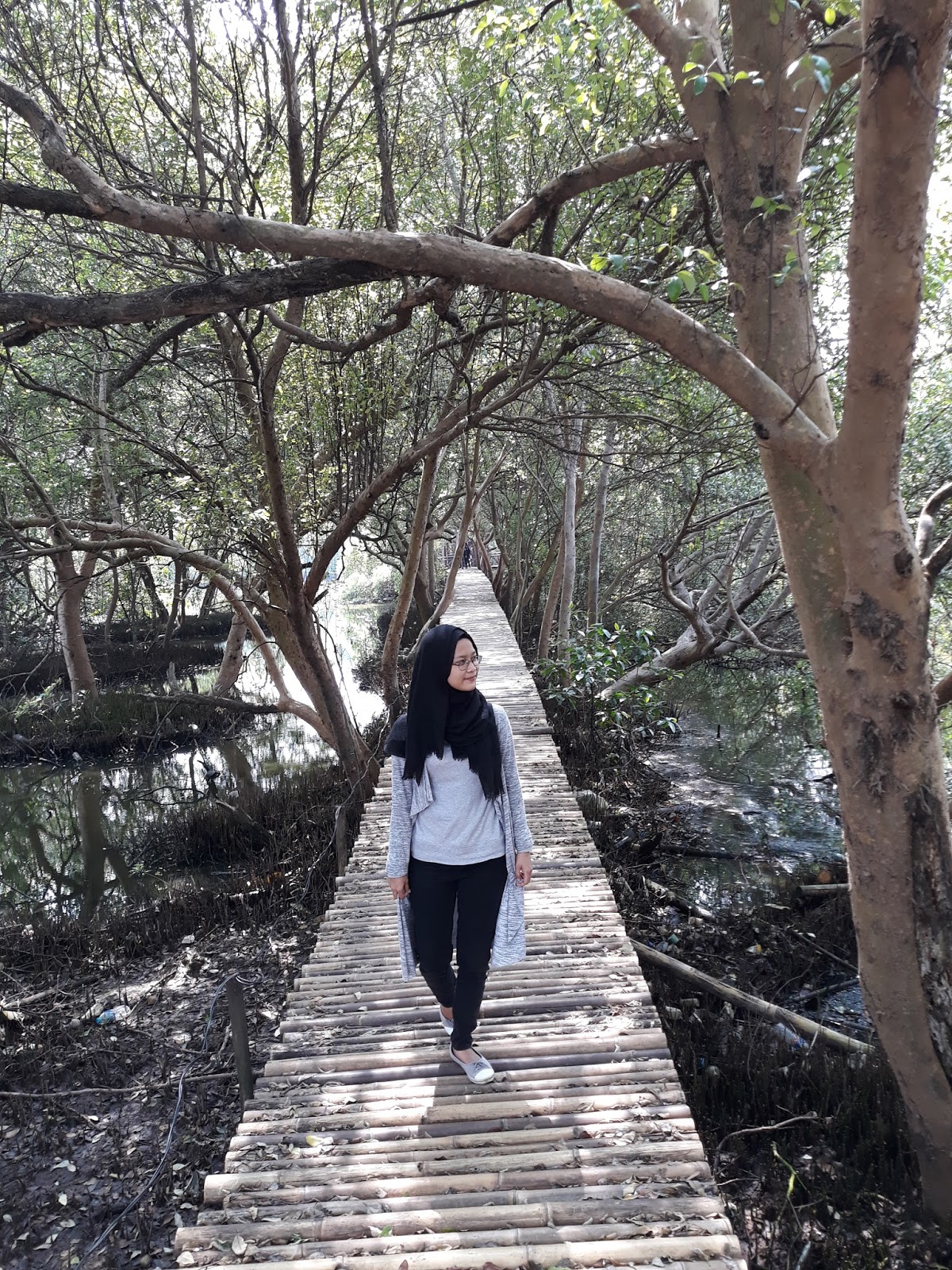 Taman Wisata Alam (TWA) Angke Kapuk - Hutan Mangrove, Pantai Indah ...