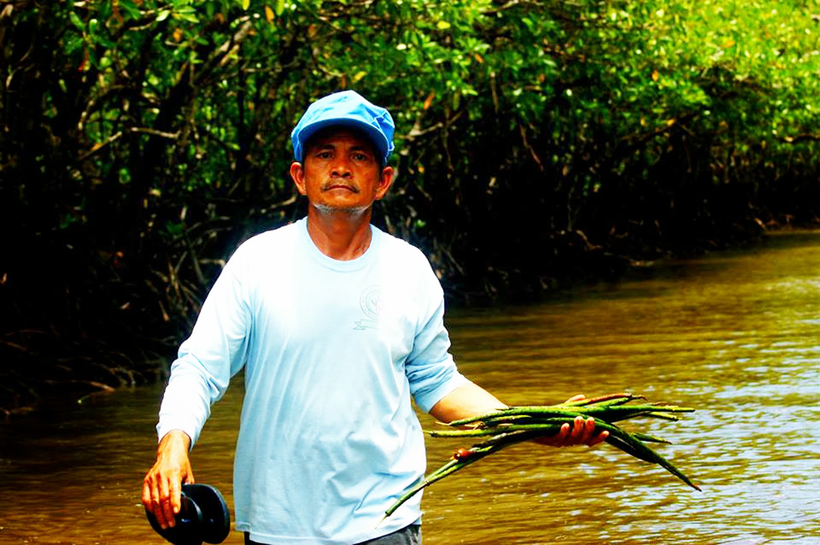 Mambulaoans WorldWide Buzz: 240,000 bakawan planted in two months