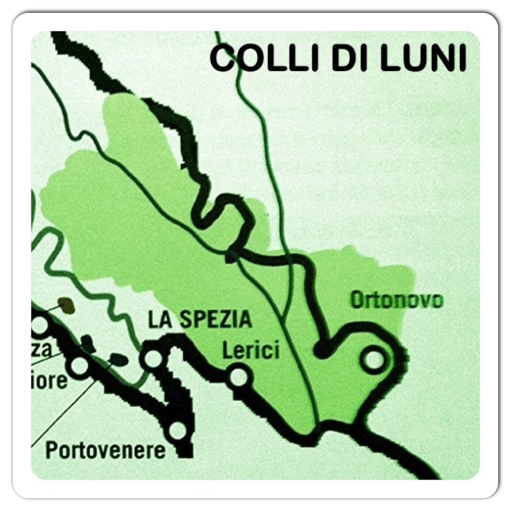 LE CINQUE ERBE: Doc Colli di Luni