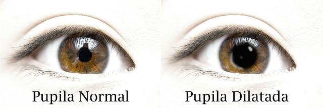 función de relación en los seres vivos : percepción e interpretación