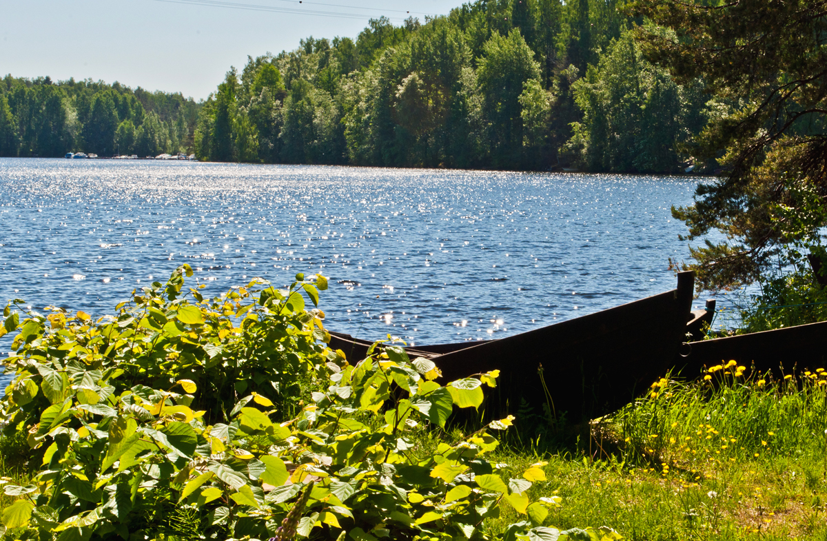 Tiitsailua: Siltasaari 1