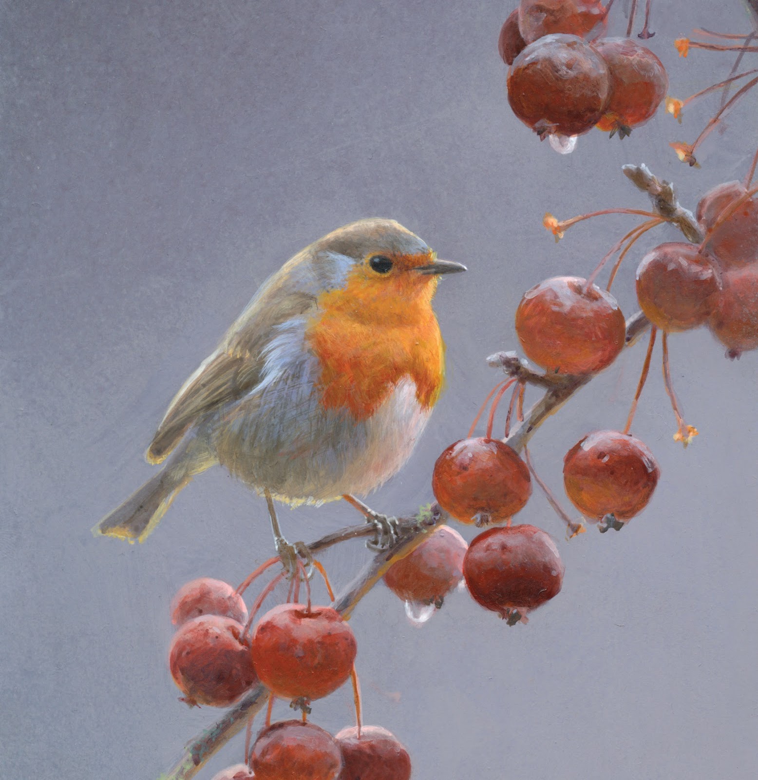 Boekenstek: Natuurkaarten van Elwin van der Kolk