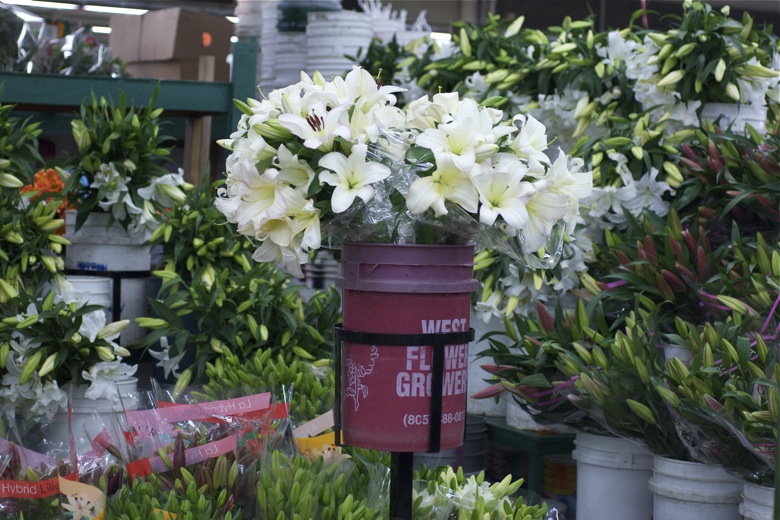 The Wardens Today: LA FLOWER DISTRICT