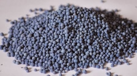 BUKU KECIL ALIFIA: Mengenal Pupuk Fosfat dan Fungsinya bagi Tanaman