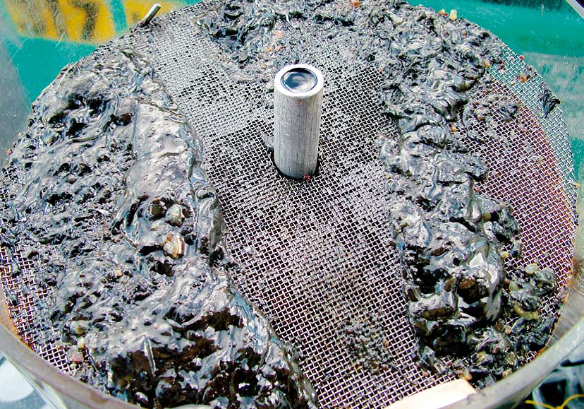 MICROBIAL CONTAMINATION