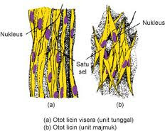 NOTA SAINS TINGKATAN 1 BAB 2 : SEL SEBAGAI UNIT ASAS HIDUPAN