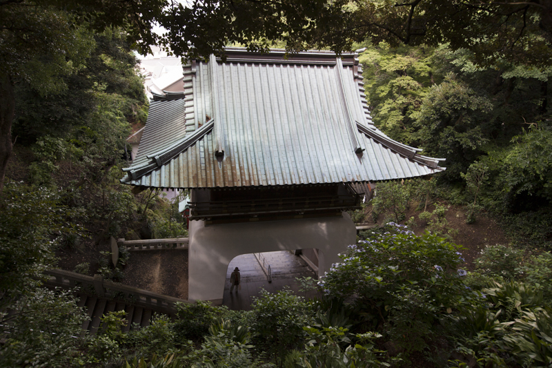 Naomi Stevens Elliott: Enoshima Island: cats and legends