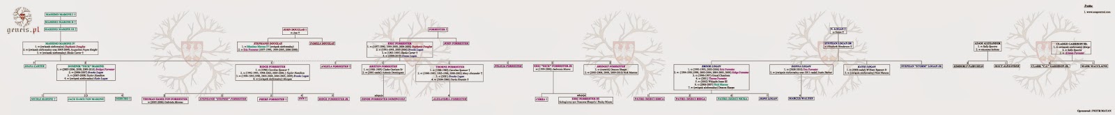 Drzewa genealogiczne: Moda na sukces