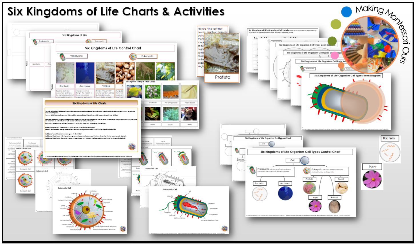 Montessori Six Kingdoms Complete Printable Charts, and Activities ...