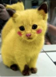 Butterflies fly away..: random billeder