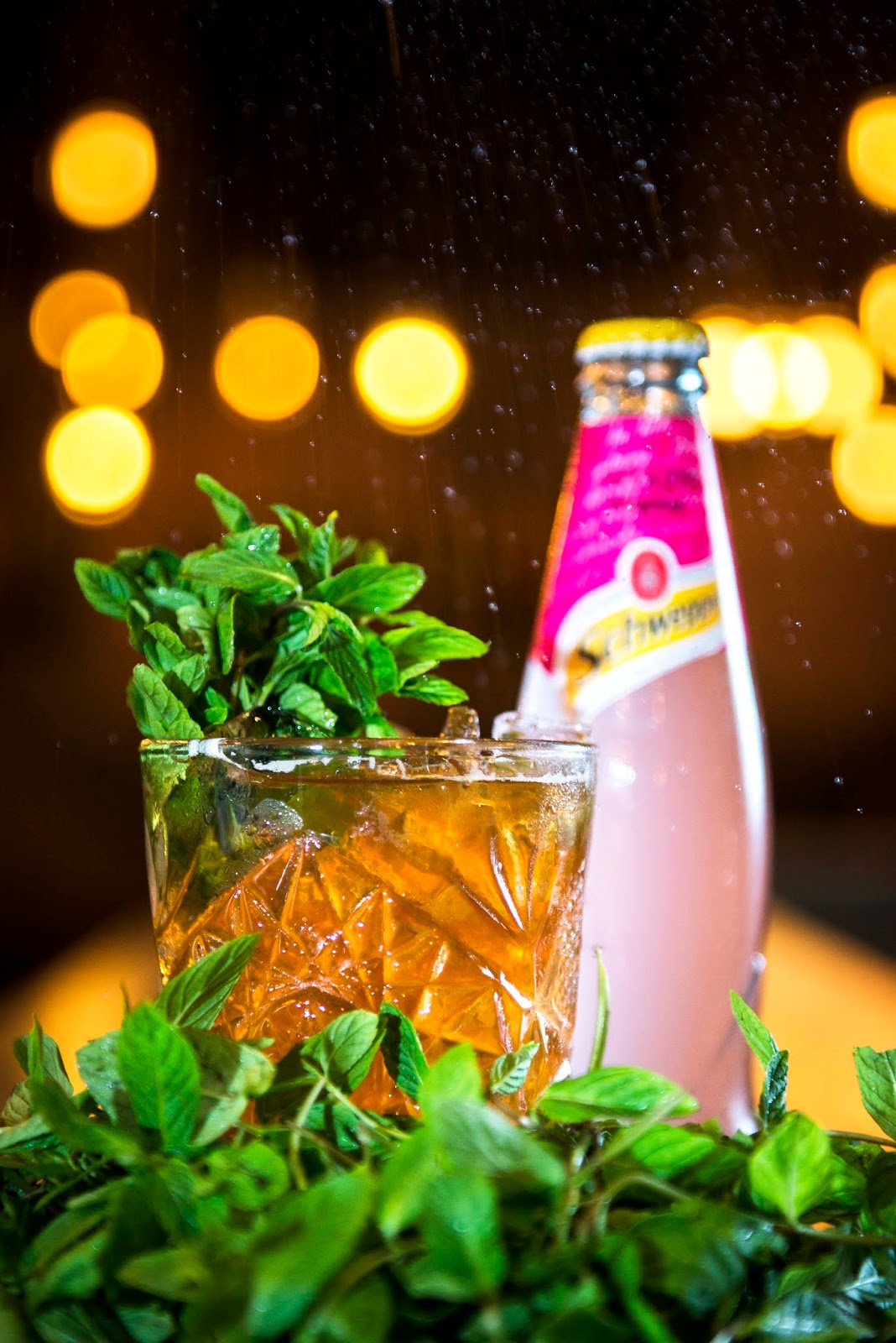 החיים הטובים עם יפיתוש: Schweppes מציג חדש ובלעדי בסדרת המיוחדים ...