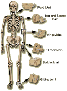 Japanese Jiu Jitsu: A Journey: Joint Locks and the Pain Game - Part II