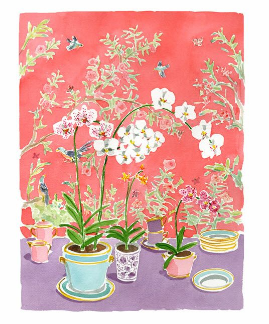 newyorkyost new york yost: caitlin mcgauley, illustrator