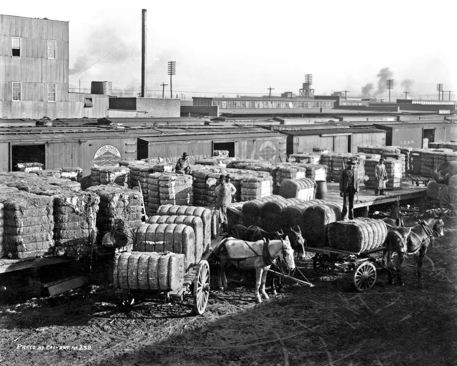 History in Photos: September 2015