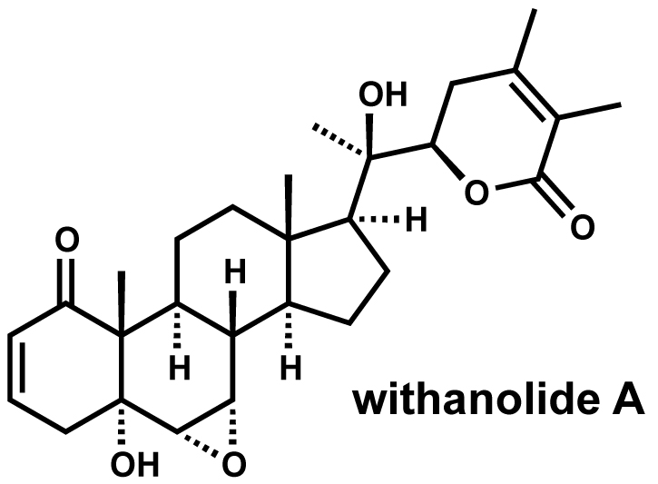modern steroid science: Withanolide A, a Lead Compound for the ...