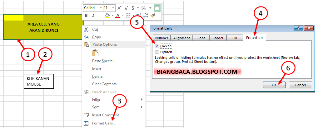 Cara Mengunci Cell Di Excel - Biang Baca