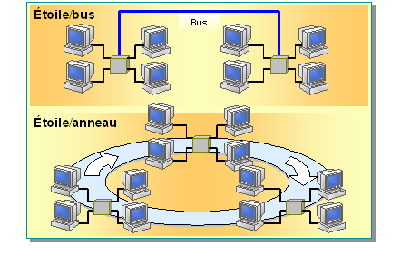 Les Topologies des réseaux