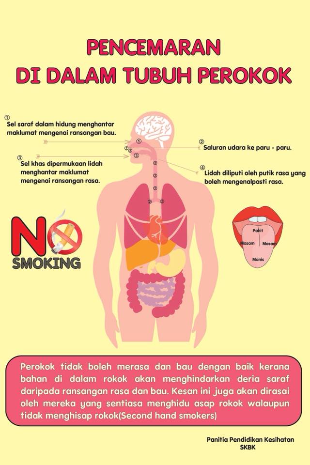 Sudut Infomasi Pendidikan Jasmani Dan Kesihatan Sudut Infomasi Pendidikan Jasmani Dan Kesihatan