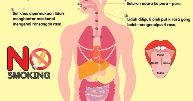 Kickstory - Pendidikan, Kesihatan, Kerjaya Kickstory - Pendidikan, Kesihatan, Kerjaya