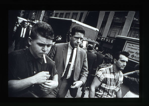 Midnight Pine: Gary Winogrand