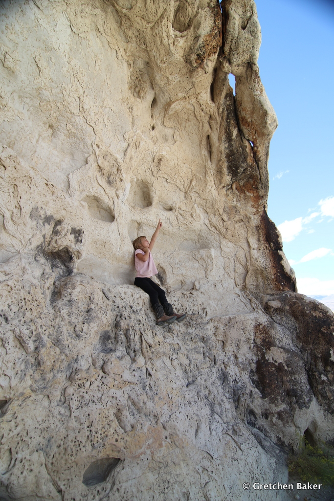 Desert Survivor: A Memorable Trip to Ibex, Millard County, Utah