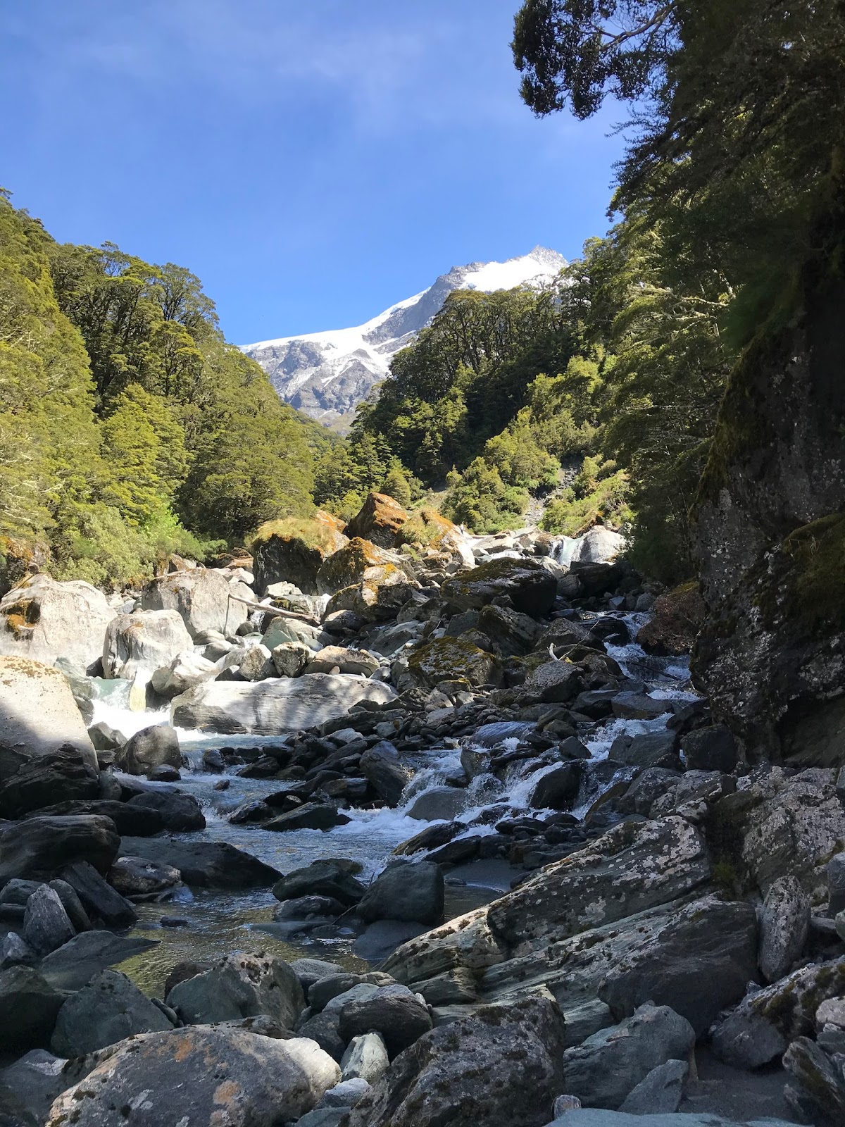 Tales of a Rambling Rover: Day 6: Day hike from Top Forks Hut to Lakes ...