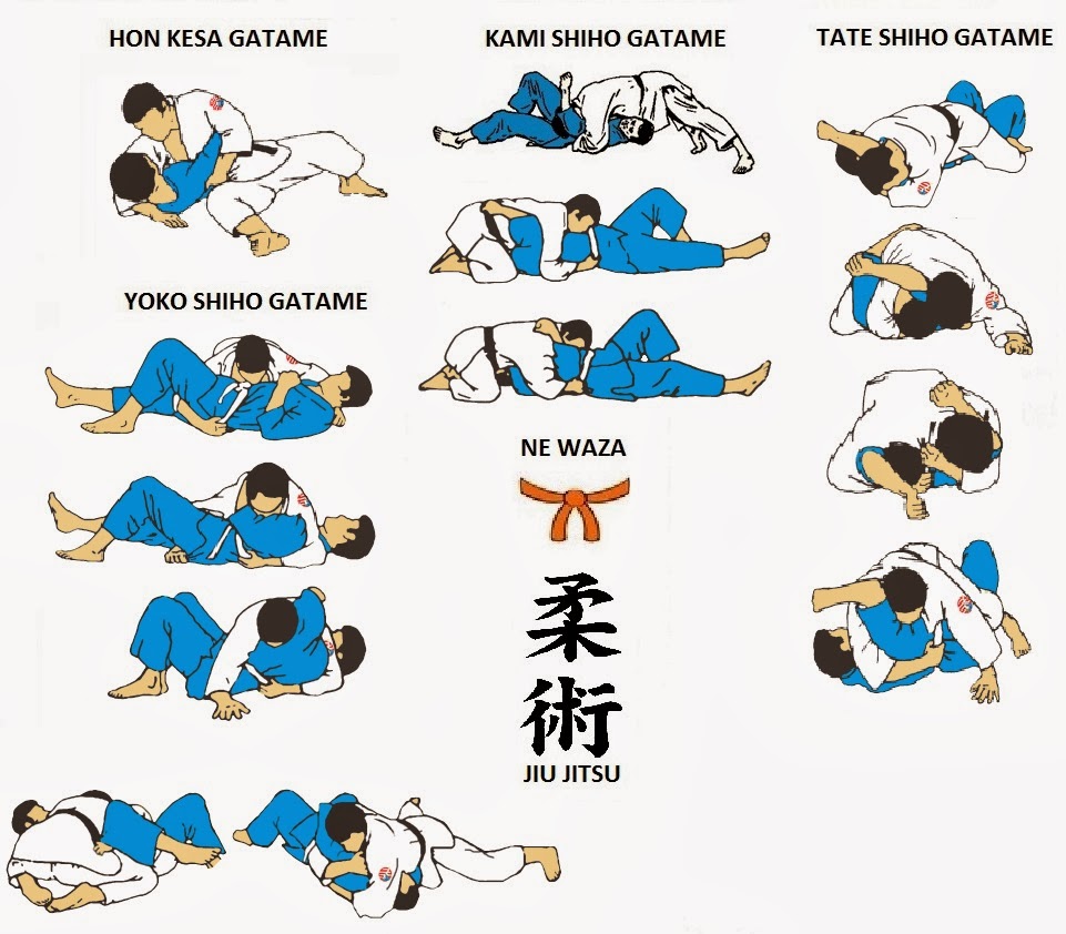 El Rincon del Dojo: KATAME-NAGE Y NE WAZA JIU JITSU AMARILLO