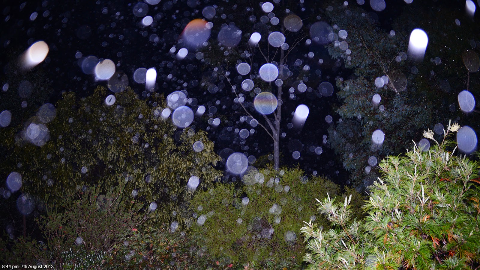 Lynn White, Focus Sessions: Orbs... Beings, Color and Size