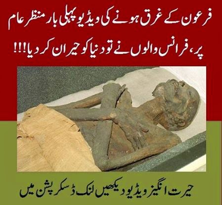 An interesting video about Firon ~ Fun Zone